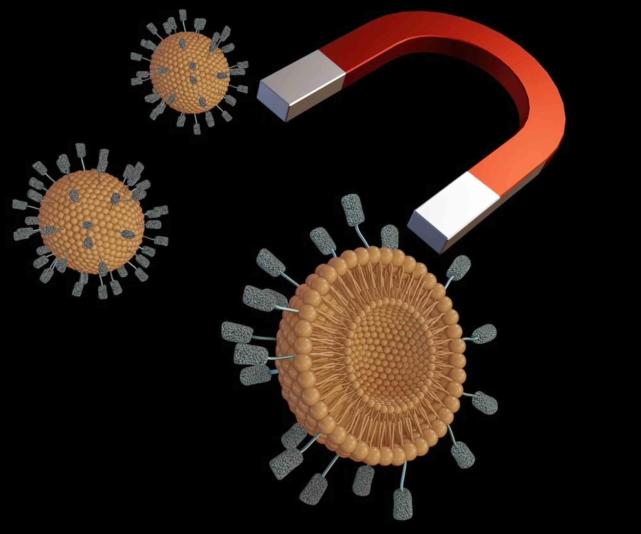 The Fascinating Features Of Neodymium Magnets: Exploring Their Magnetic ...